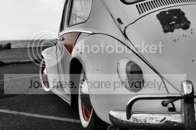 66' Flash trim Bug | Volkszone Forum