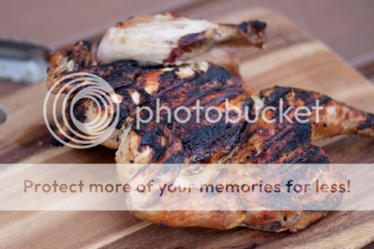 Grilled, Butterflied Chicken | The Domestic Man
